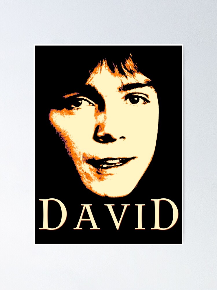 "David" Poster by Salocin | Redbubble