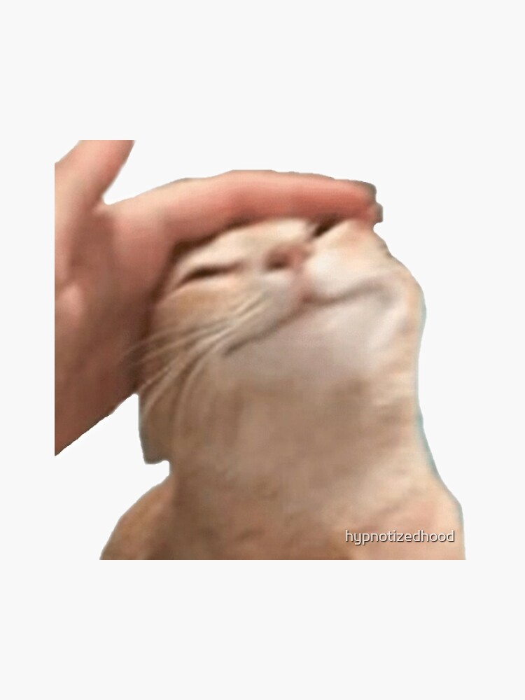 "cat petted meme" Sticker for Sale by hypnotizedhood | Redbubble