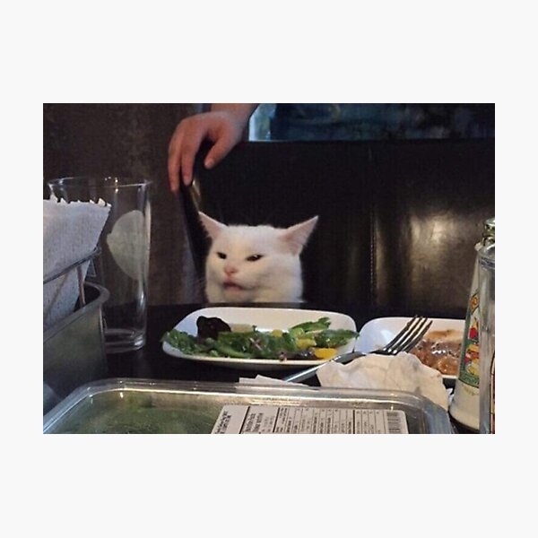 "Salad Cat Meme" Photographic Print by jamdonut1 | Redbubble
