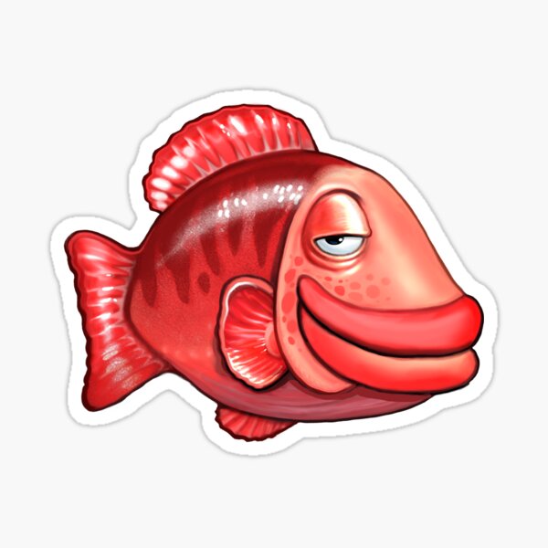 "red grouper reef fish" Sticker for Sale by stevesack | Redbubble