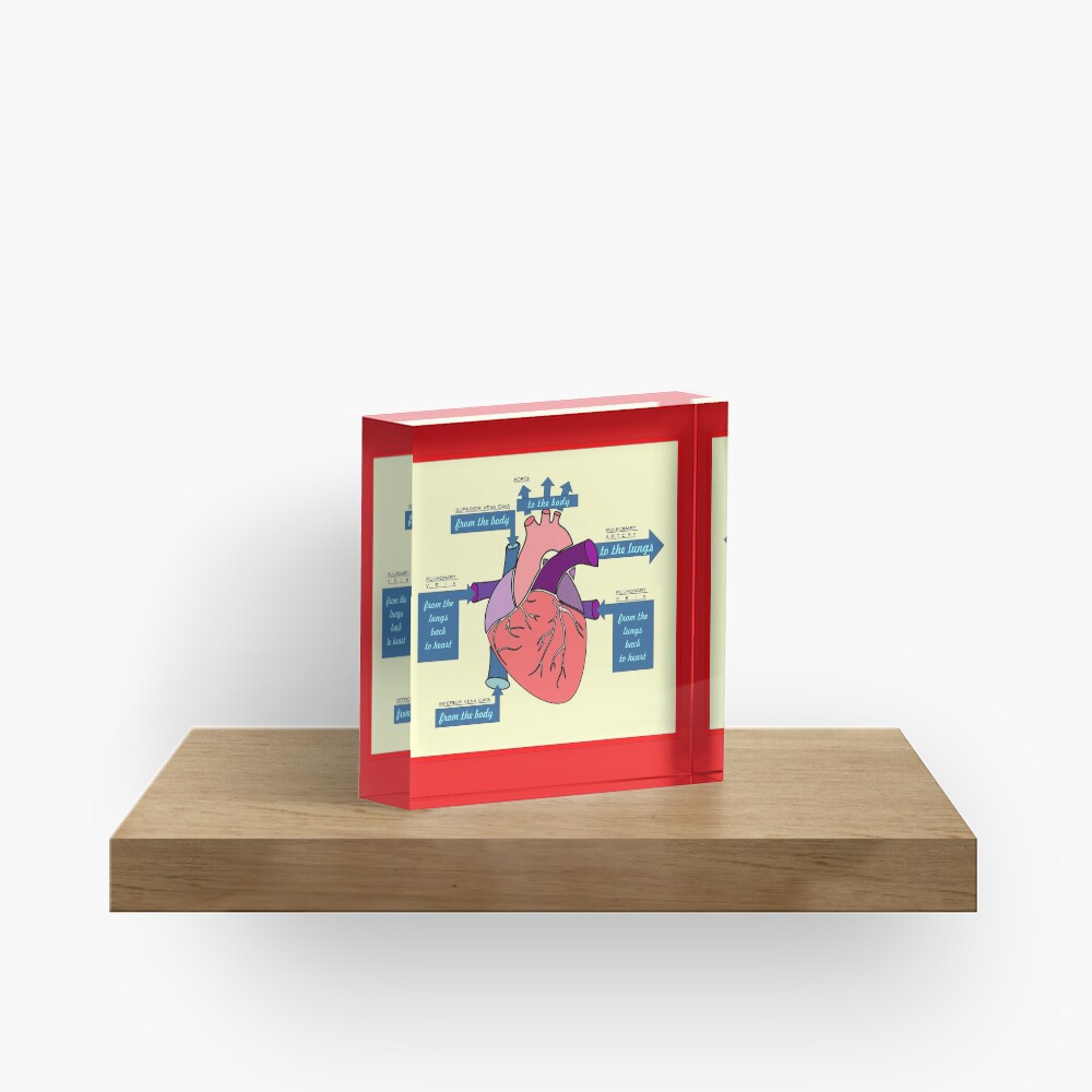"Blood Flow Through the Heart: Cardiology Study Sheet Nursing Stickers ...