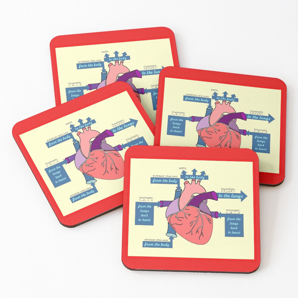 "Blood Flow Through the Heart: Cardiology Study Sheet Nursing Stickers ...