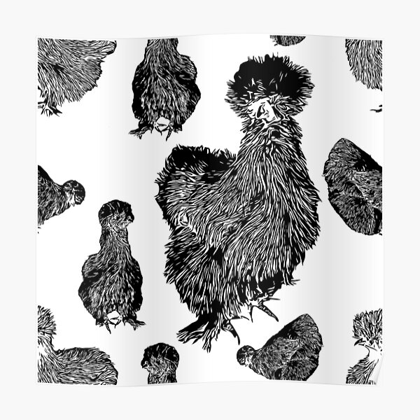 "Silkie Bantam Line Drawings" Poster by StandoutSilkies | Redbubble