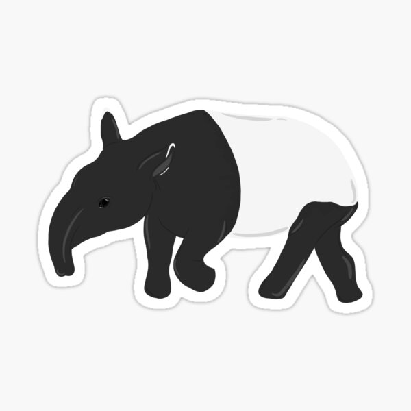 "Tapir illustration " Sticker by Chellypie | Redbubble