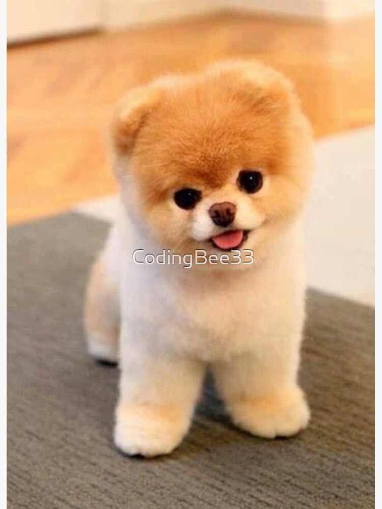Sticker « Chien Boo », par CodingBee33 | Redbubble