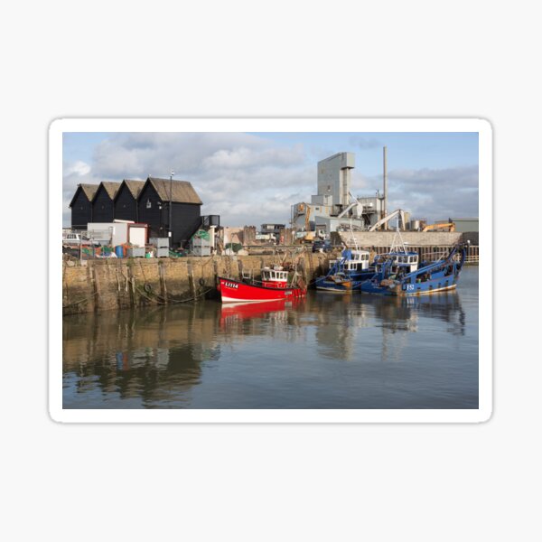 "Hints of blue" Sticker by lyttonimages | Redbubble