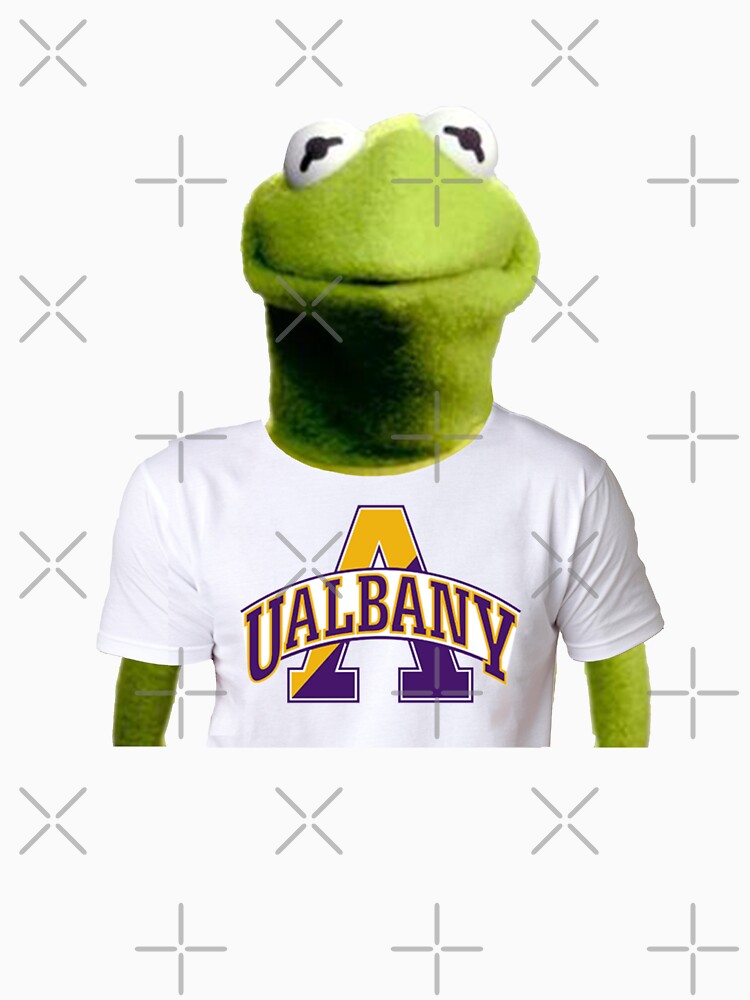 "Albany" T-shirt for Sale by Leilasayan | Redbubble | suny t-shirts ...