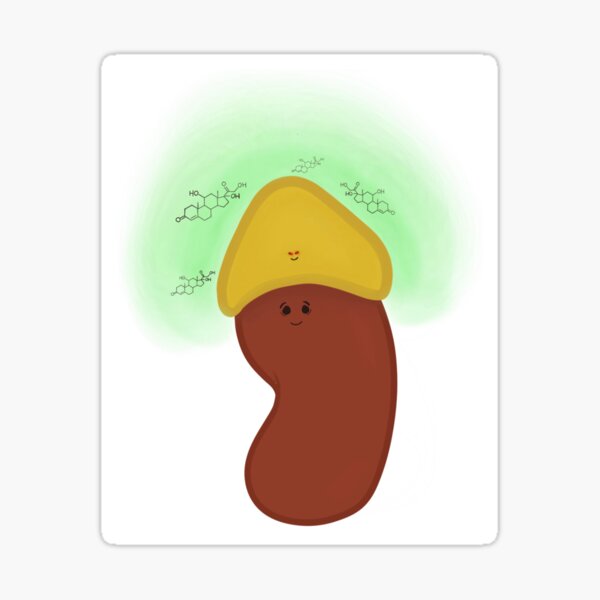 "Evil Adrenal Gland " Sticker for Sale by Mirandabranda3 | Redbubble