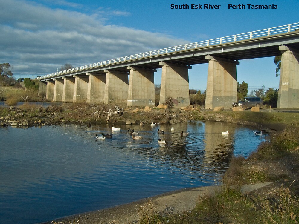 "Perth Bridge" by pejay | Redbubble