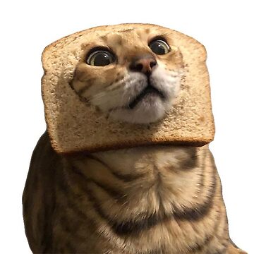 "Bread Cat" Sticker for Sale by Michelle V. | Redbubble
