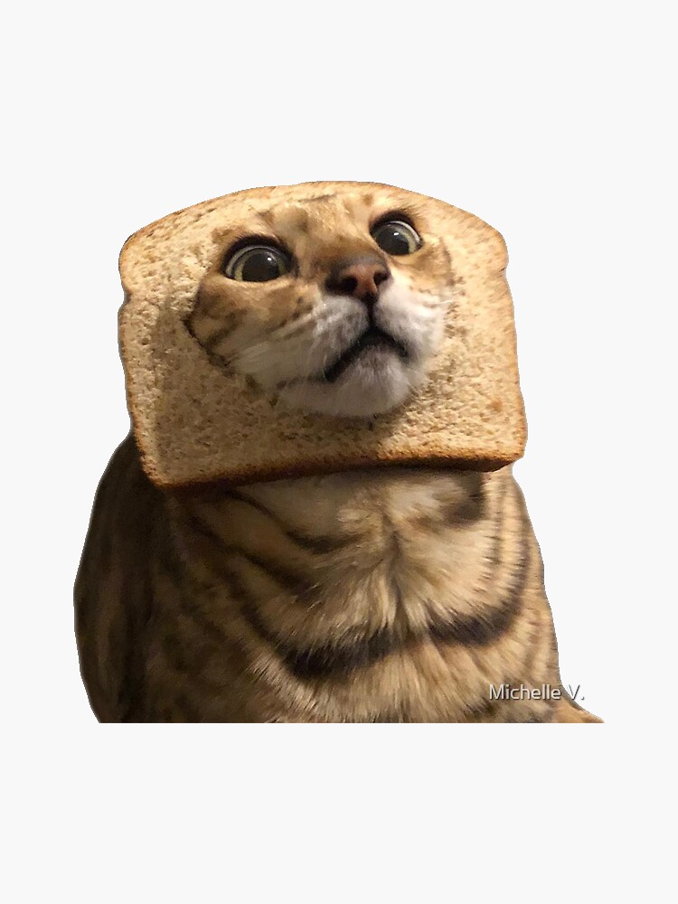 "Bread Cat" Sticker for Sale by Michelle V. | Redbubble