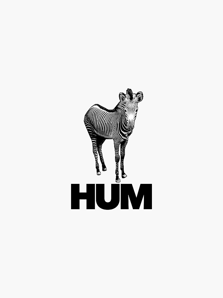 "Hum Zebra " Sticker for Sale by enbreitbach | Redbubble