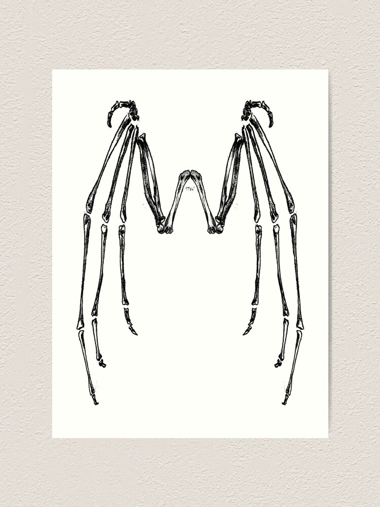 "Bone wings" Art Print for Sale by STVs | Redbubble