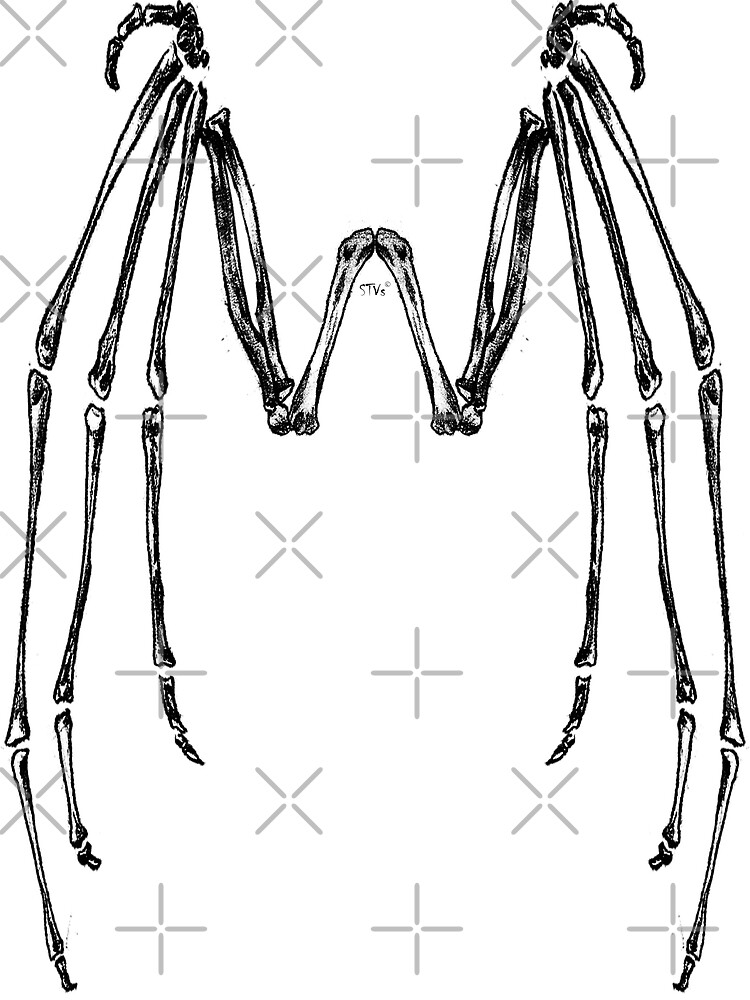 "Bone wings" Art Print for Sale by STVs | Redbubble