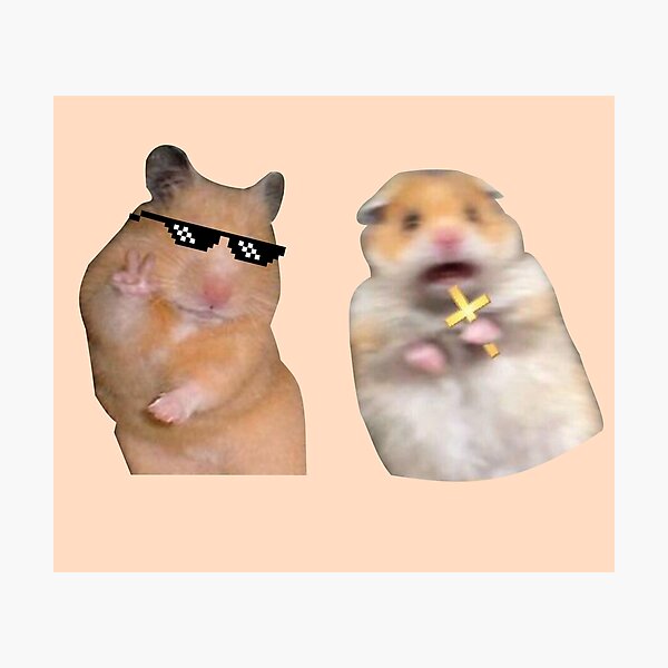 "Peace Sign Thuglife And Scared Praying Hamster Meme" Photographic ...
