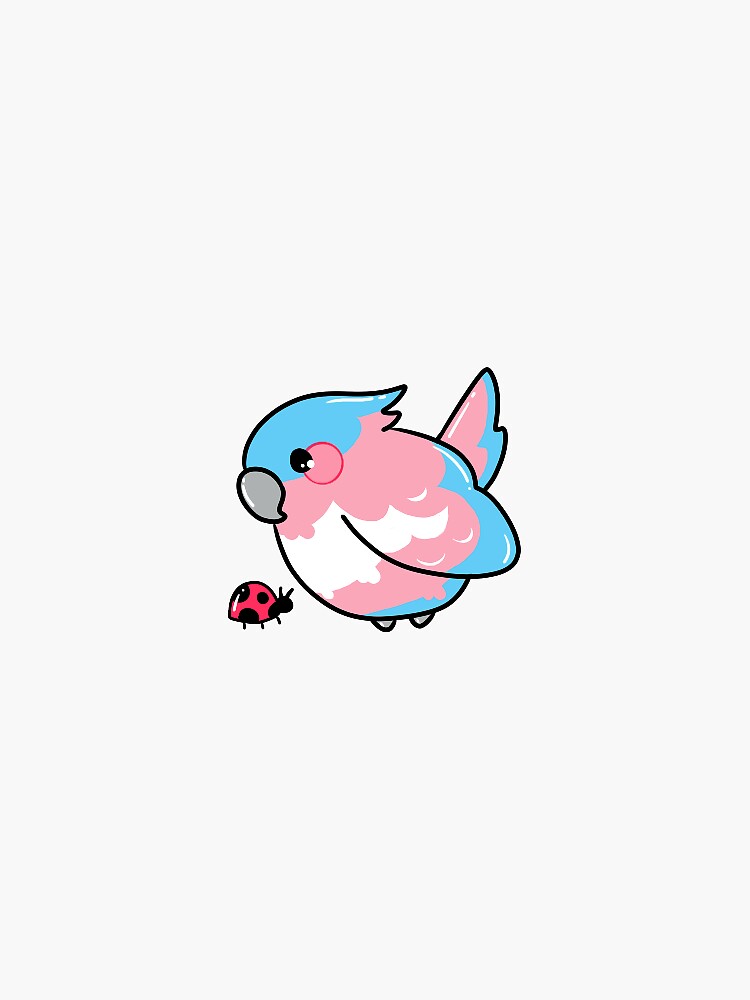 "Pride Birds - Trans" Sticker by junkwaredesigns | Redbubble