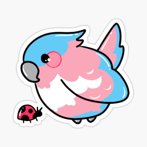 "Pride Birds - Trans" Sticker by junkwaredesigns | Redbubble