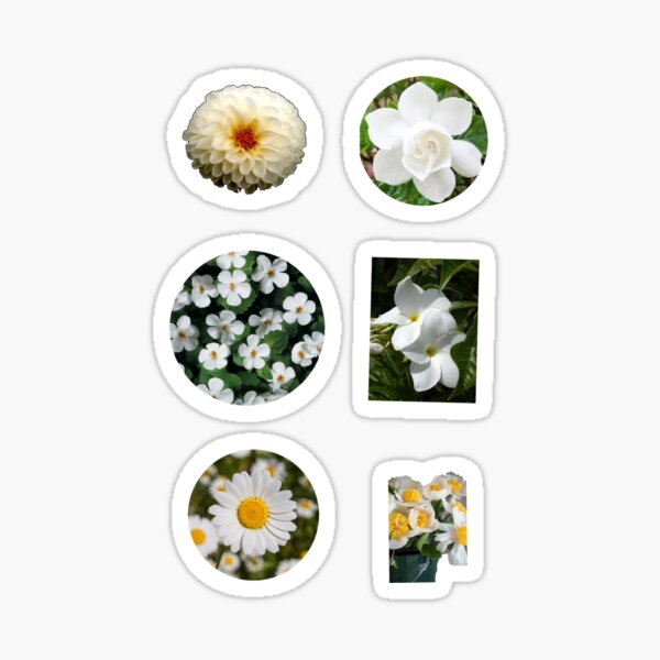 "White Flower Sticker Pack" Sticker by niawaker1 | Redbubble