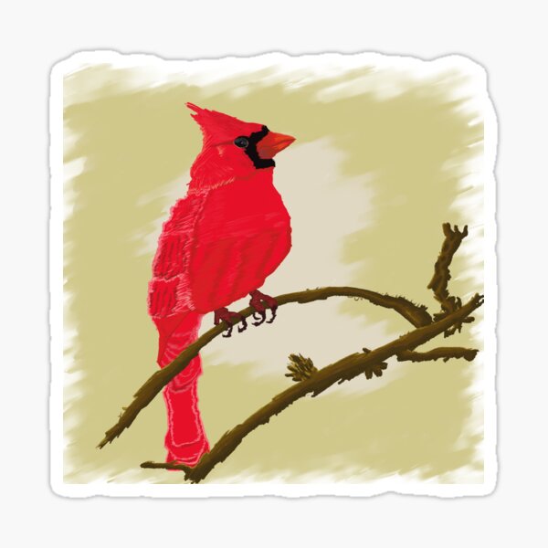 "Cardinal Midwest Bird Series" Sticker by BjernRaz | Redbubble
