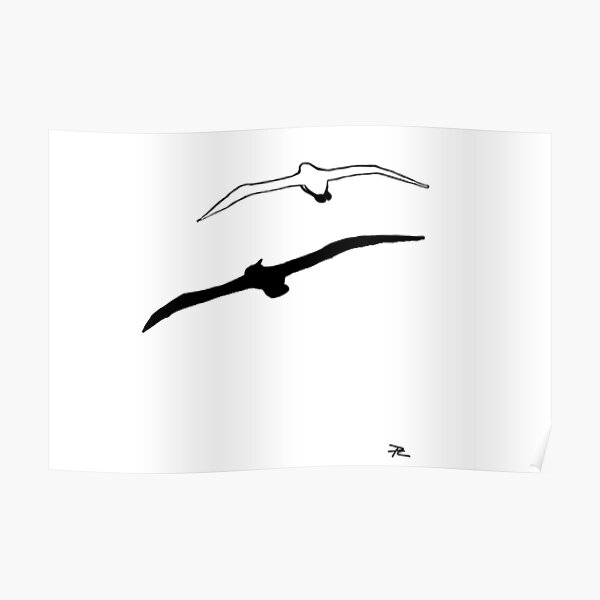 Albatros Posters | Redbubble