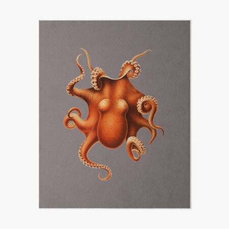 "Vintage octopus illustration - Polypus levis" Art Board Print for Sale ...
