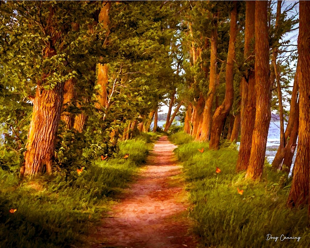 "Flutterby Way" by Doug Canning | Redbubble