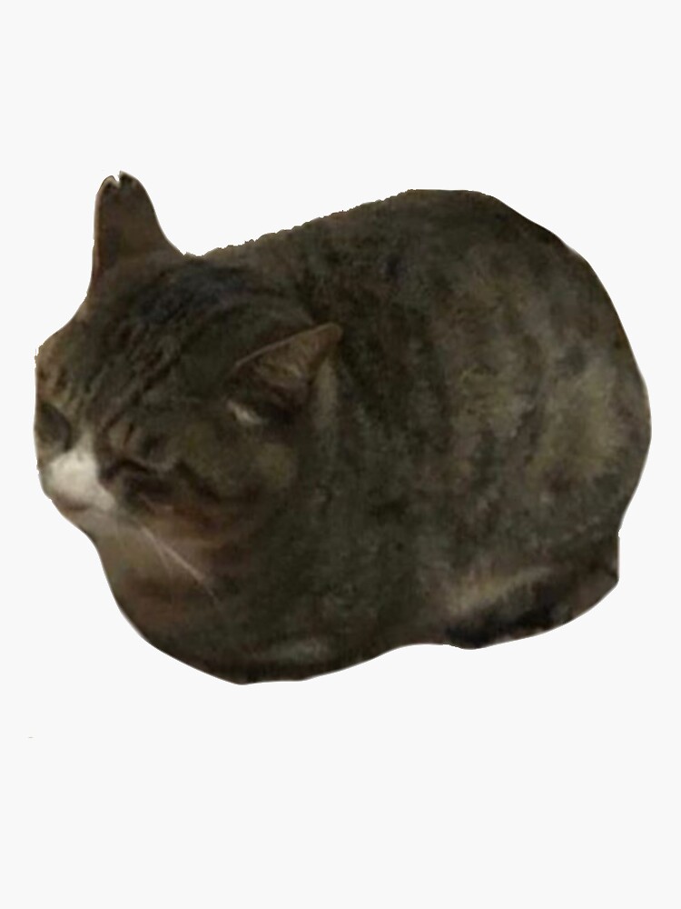 "Slug Cat" Sticker for Sale by froglampp | Redbubble