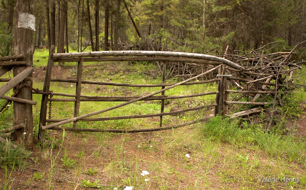 "Stick and Twig gate+fence." by Valerie Henry | Redbubble