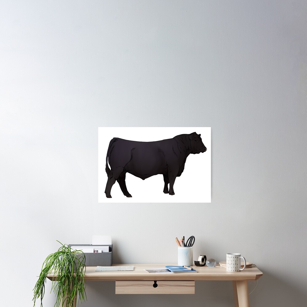 "Angus Bull" Poster for Sale by mwinter2205 | Redbubble