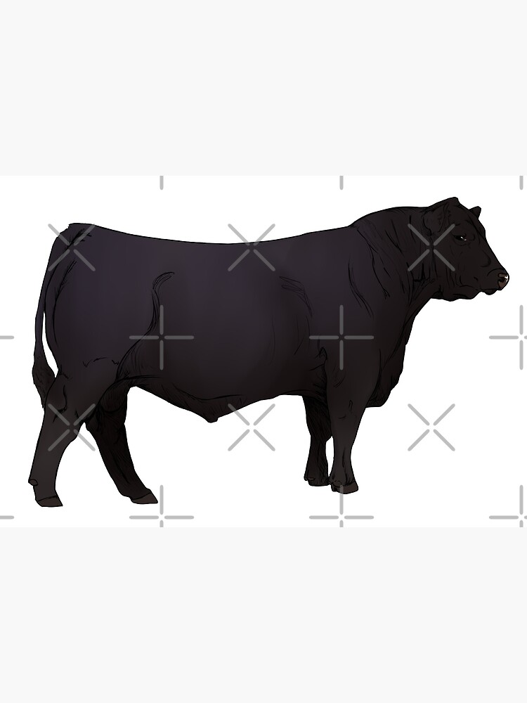 "Angus Bull" Poster for Sale by mwinter2205 | Redbubble