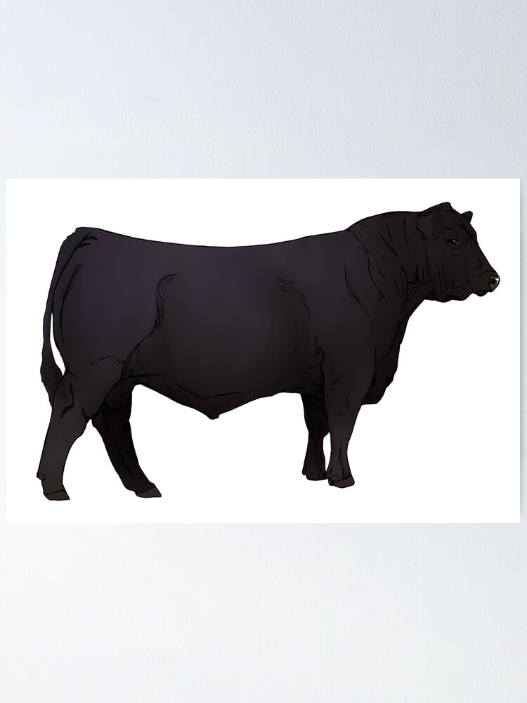 "Angus Bull" Poster for Sale by mwinter2205 | Redbubble