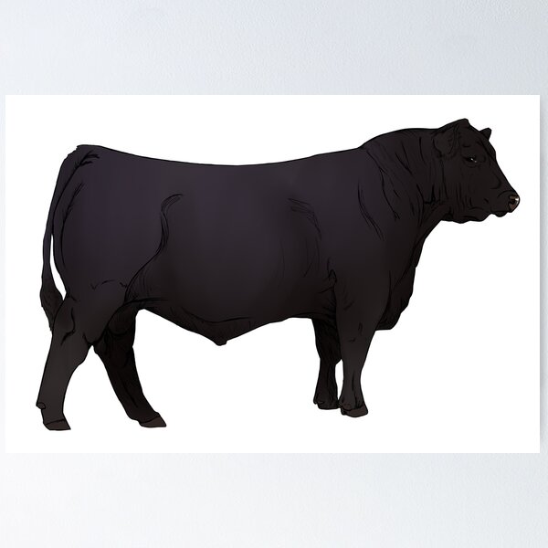 "Angus Bull" Poster for Sale by mwinter2205 | Redbubble