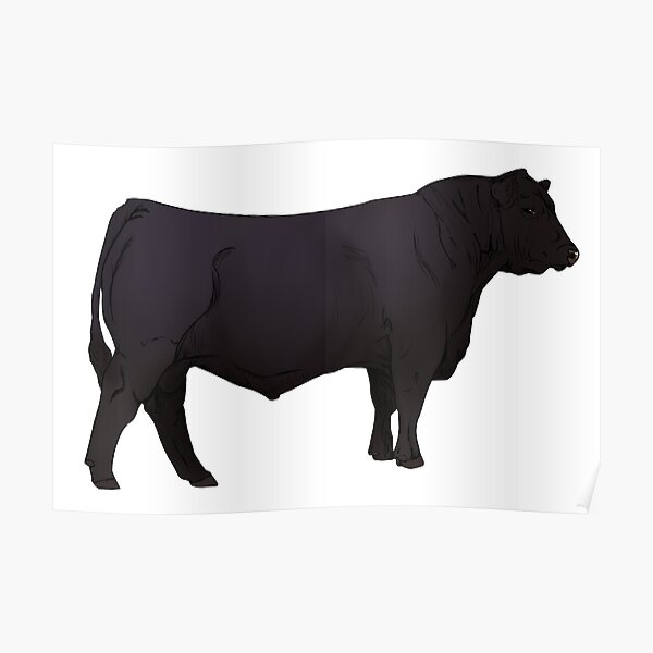 "Angus Bull" Poster for Sale by mwinter2205 | Redbubble
