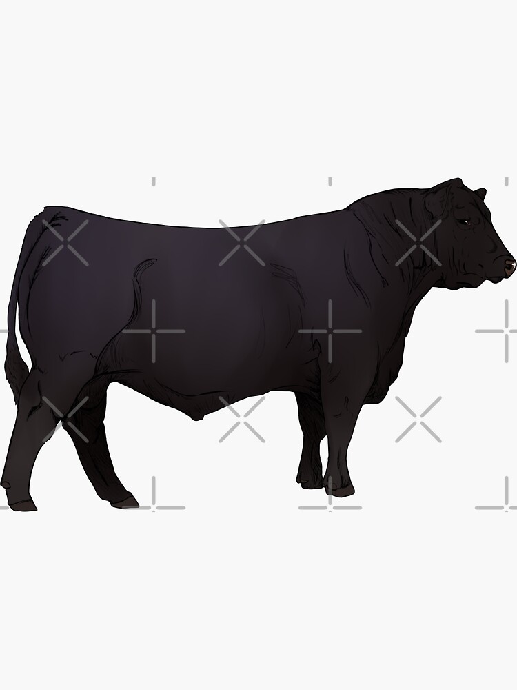 "Angus Bull" Sticker for Sale by mwinter2205 | Redbubble