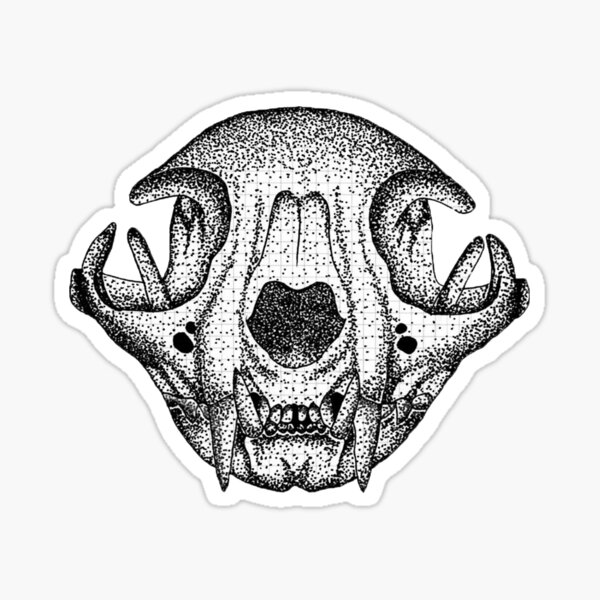 "Cat Skull" Sticker for Sale by eveloine | Redbubble