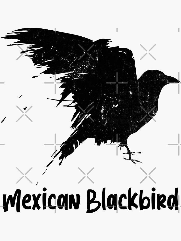 "Mexican Blackbird - Raven from Mexico" Sticker for Sale by saechla ...