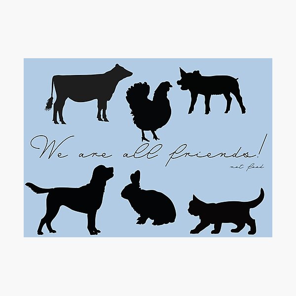 "We are all friends" Photographic Print by TurquoiseTurt | Redbubble
