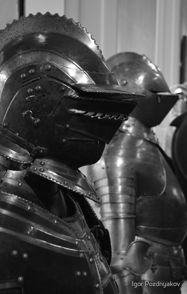 "Knight's Armor. Fitzwilliam Museum. Cambridge, UK" by Igor Pozdnyakov ...