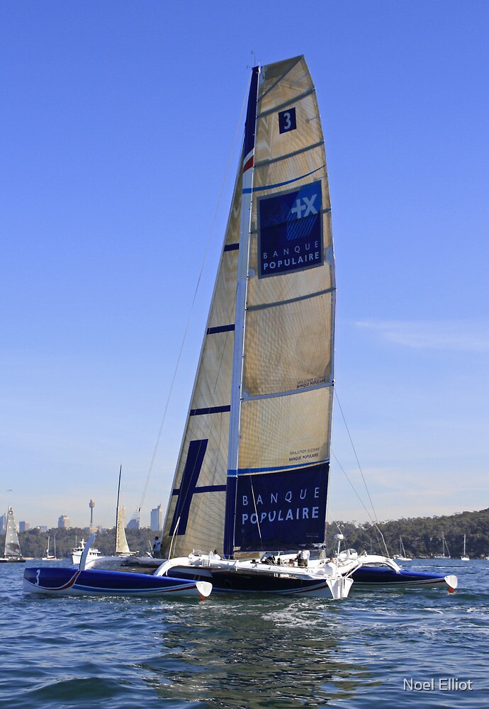"Banque Populaire - Ocean Racing Trimaran" by Noel Elliot | Redbubble