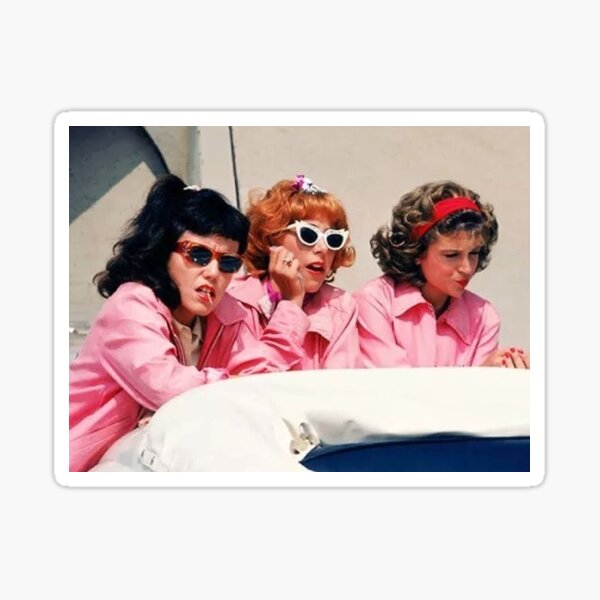 "Sassy Pink Ladies" Sticker for Sale by aflairofblayre | Redbubble