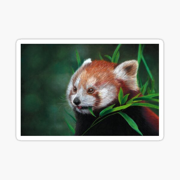 "Red Panda, A Realistic Pastel Artwork" Sticker for Sale by KatSkinner ...