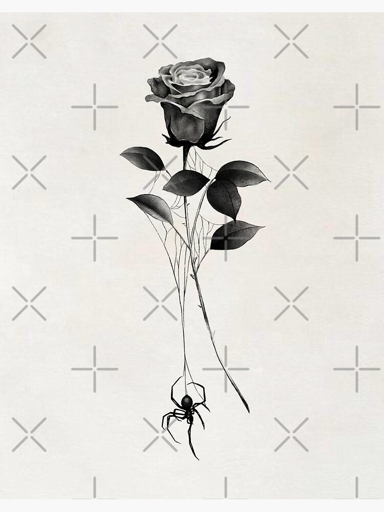 "Spider & Rose" Poster for Sale by charrchaa | Redbubble