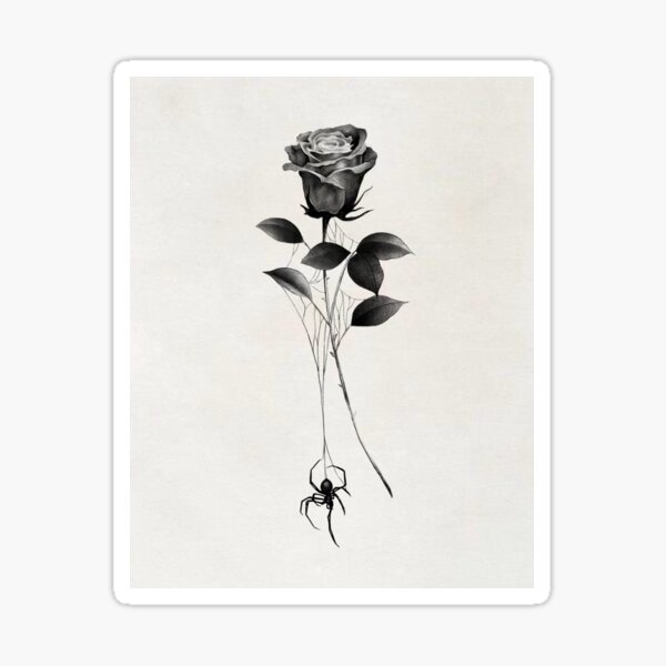 "Spider & Rose" Sticker by charrchaa | Redbubble
