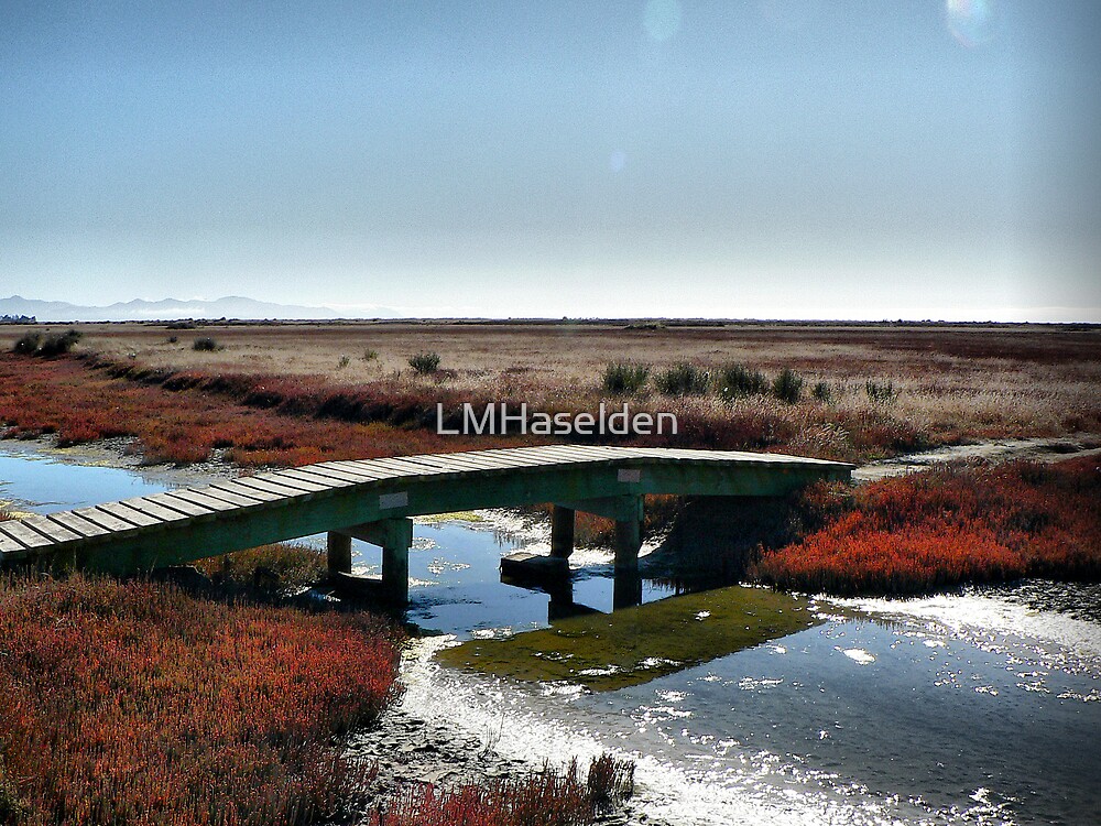"Salt Marsh - Blenheim, New Zealand." by LMHaselden | Redbubble