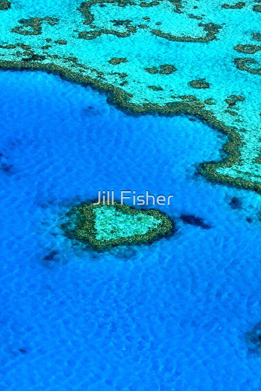 "Heart Reef" by Jill Fisher | Redbubble