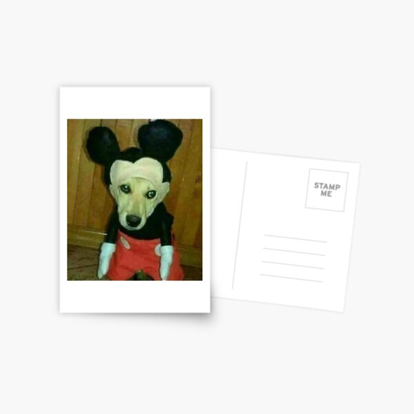 "cursed mouse dog" Postcard for Sale by LaurenSwiffin | Redbubble