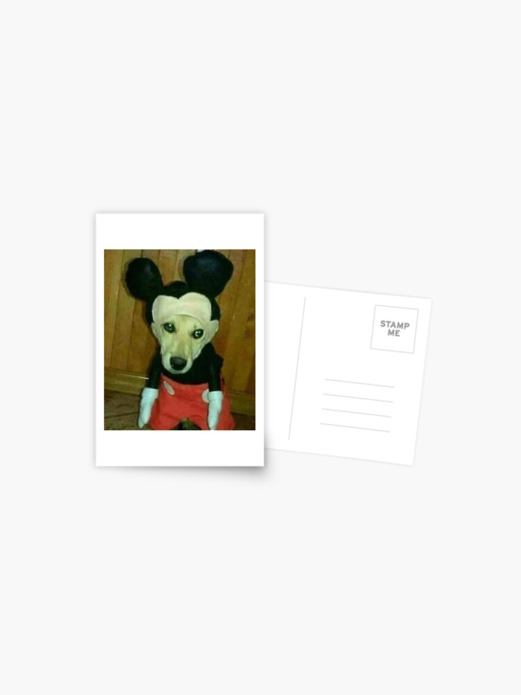 "cursed mouse dog" Postcard for Sale by LaurenSwiffin | Redbubble