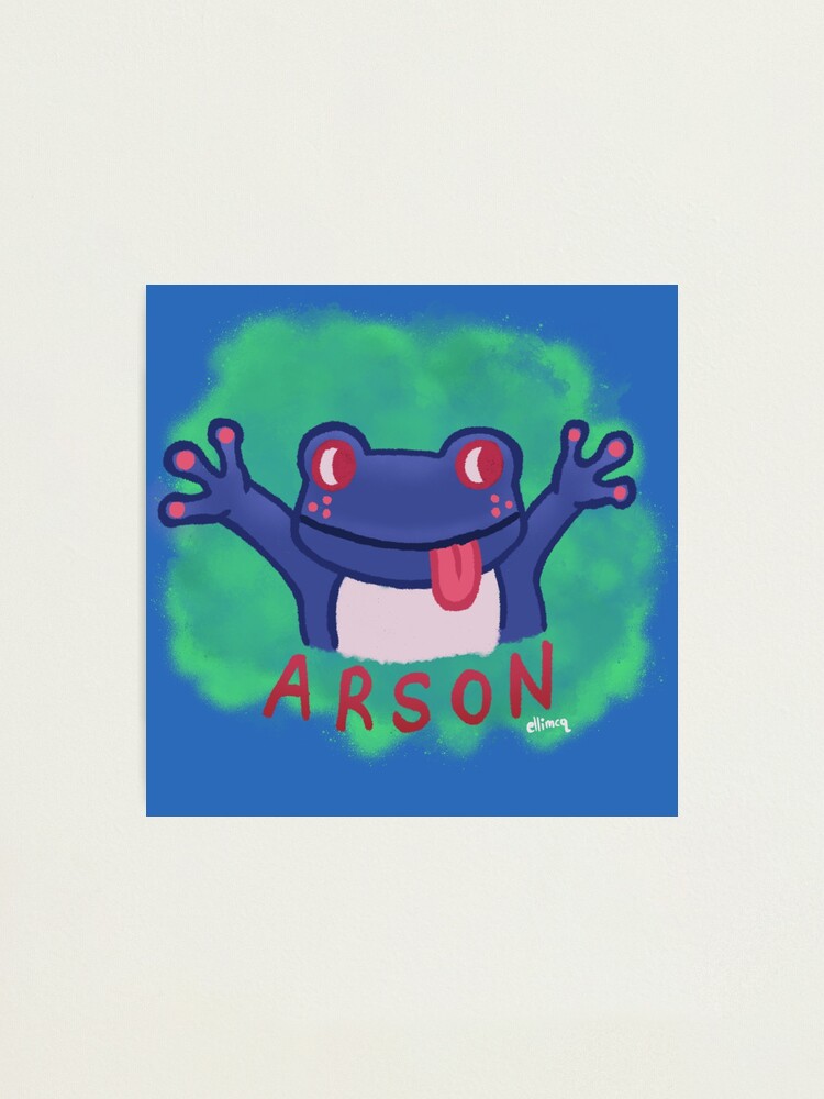 "Arson Frog - Tik Tok Meme" Photographic Print by ellimcq | Redbubble