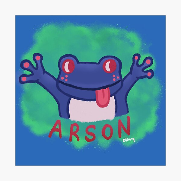 "Arson Frog - Tik Tok Meme" Photographic Print by ellimcq | Redbubble