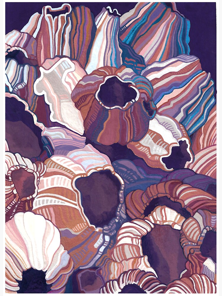 "Barnacles" Sticker for Sale by softbiology | Redbubble